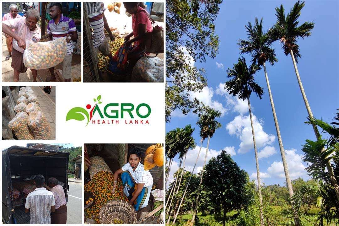 Who We Are – Agro Lanka Health